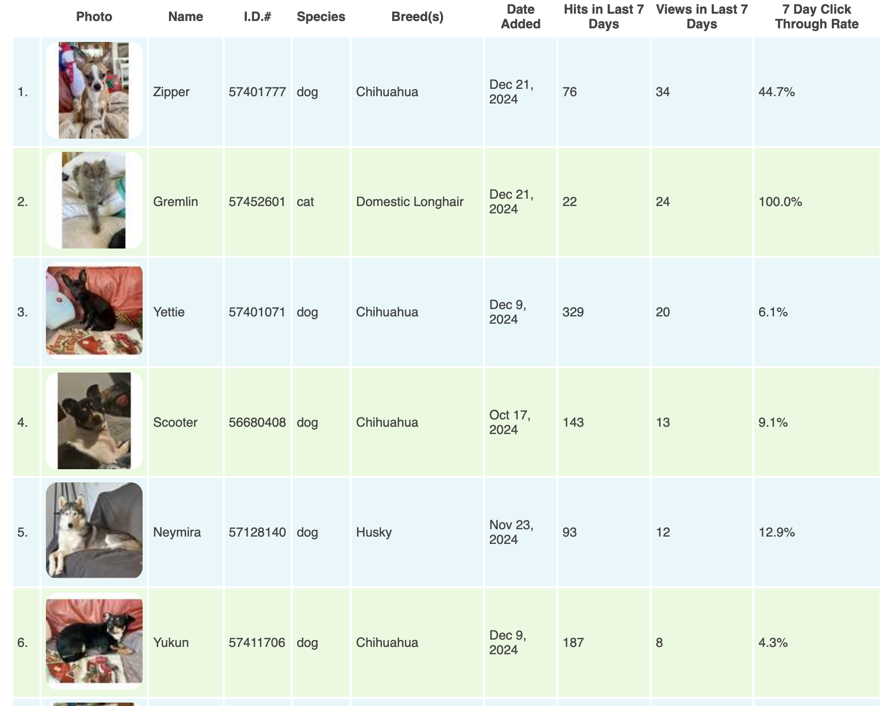 Why A/B test your pets – AdoptaPet.com for Shelters & Rescues